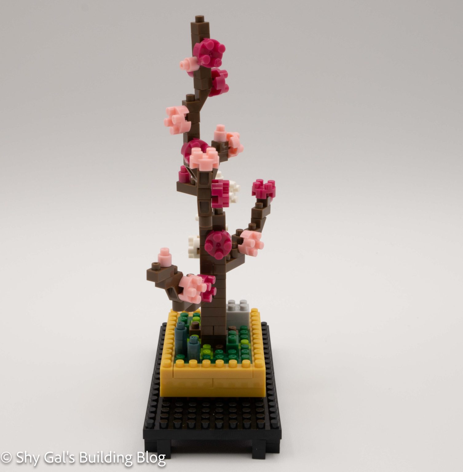 Review of nanoblock Plum Bonsai NBH_134 - Shy Gal’s Building Blog