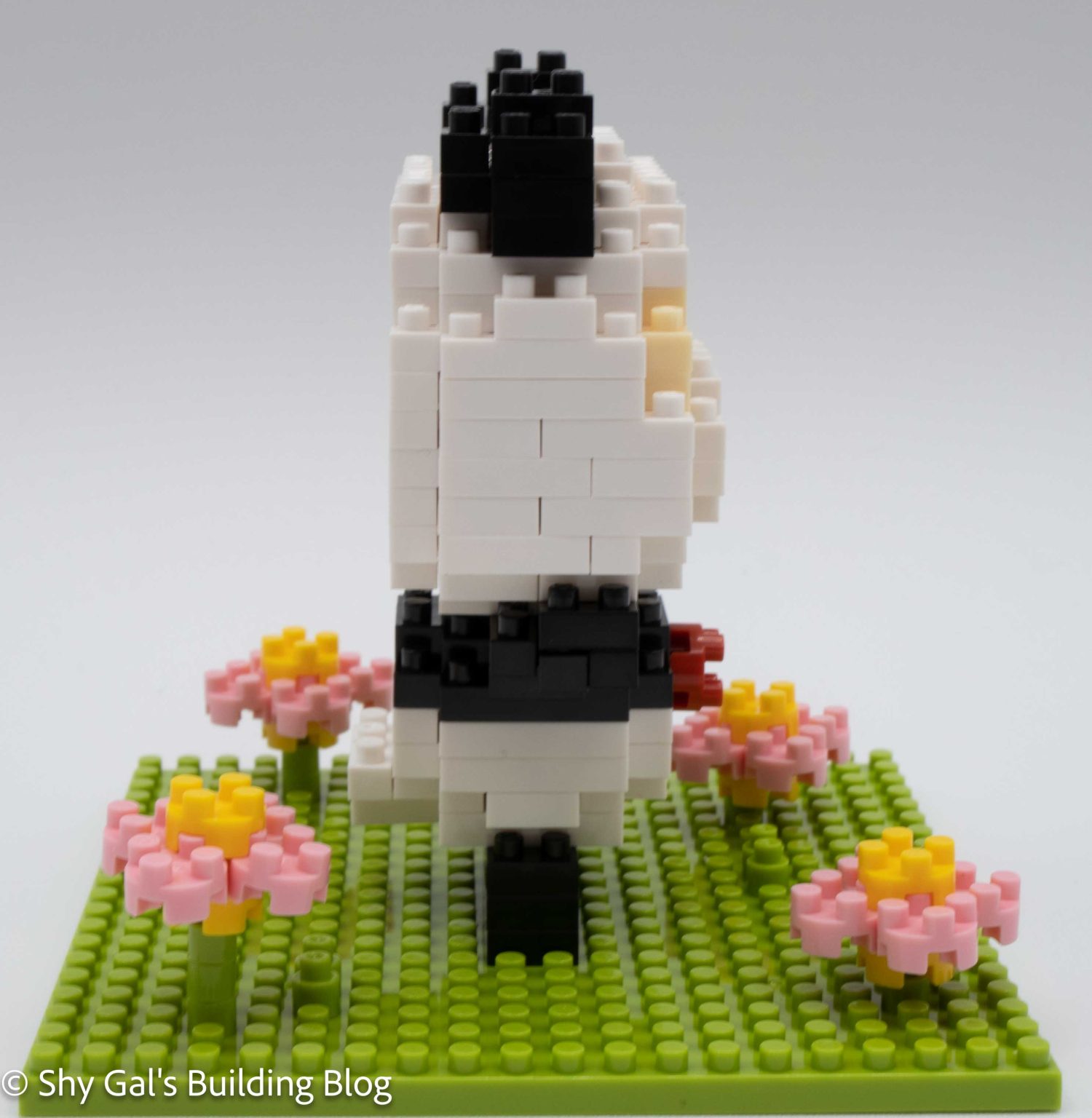 Review Korilakkuma Panda de Goron - Shy Gal's Building Blog