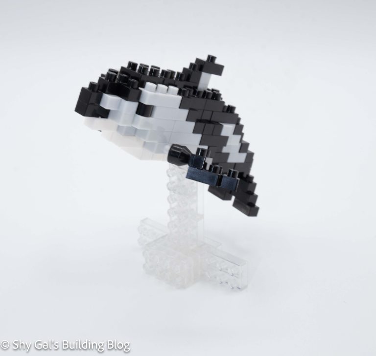 Review of Pacific White-Sided Dolphin - Shy Gal’s Building Blog