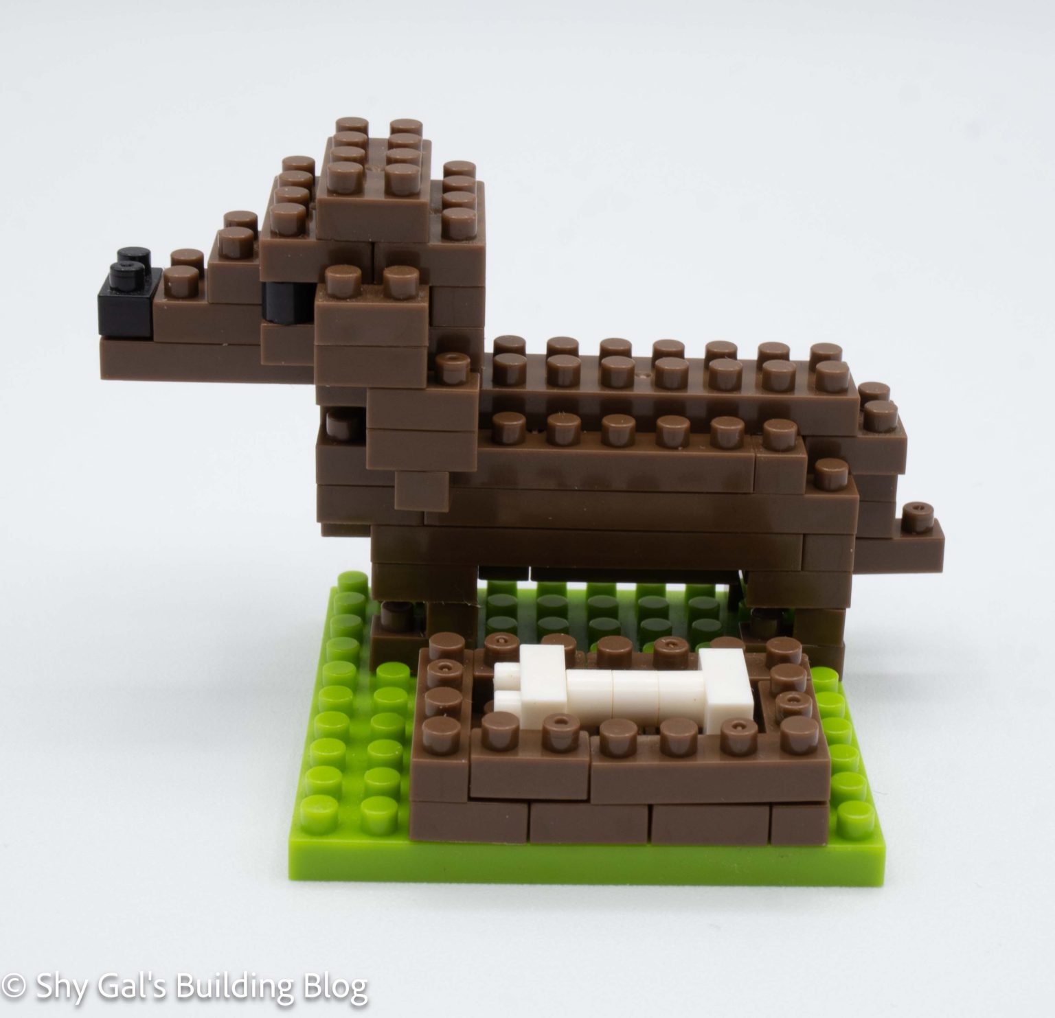 Review of nanoblock Dachshund - Shy Gal's Building Blog