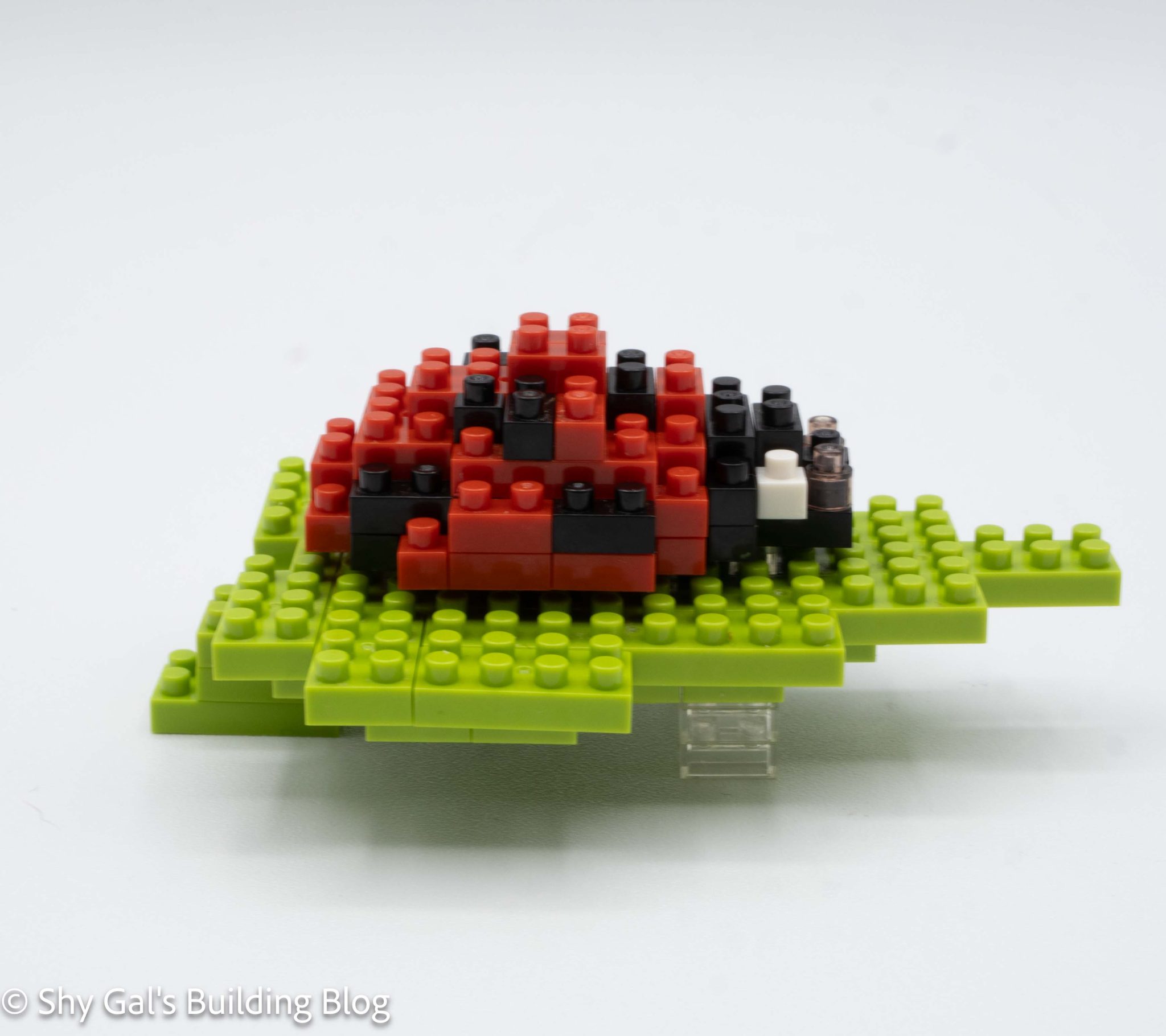 Review nanoblock Seven-spot Ladybird - Shy Gal's Building Blog