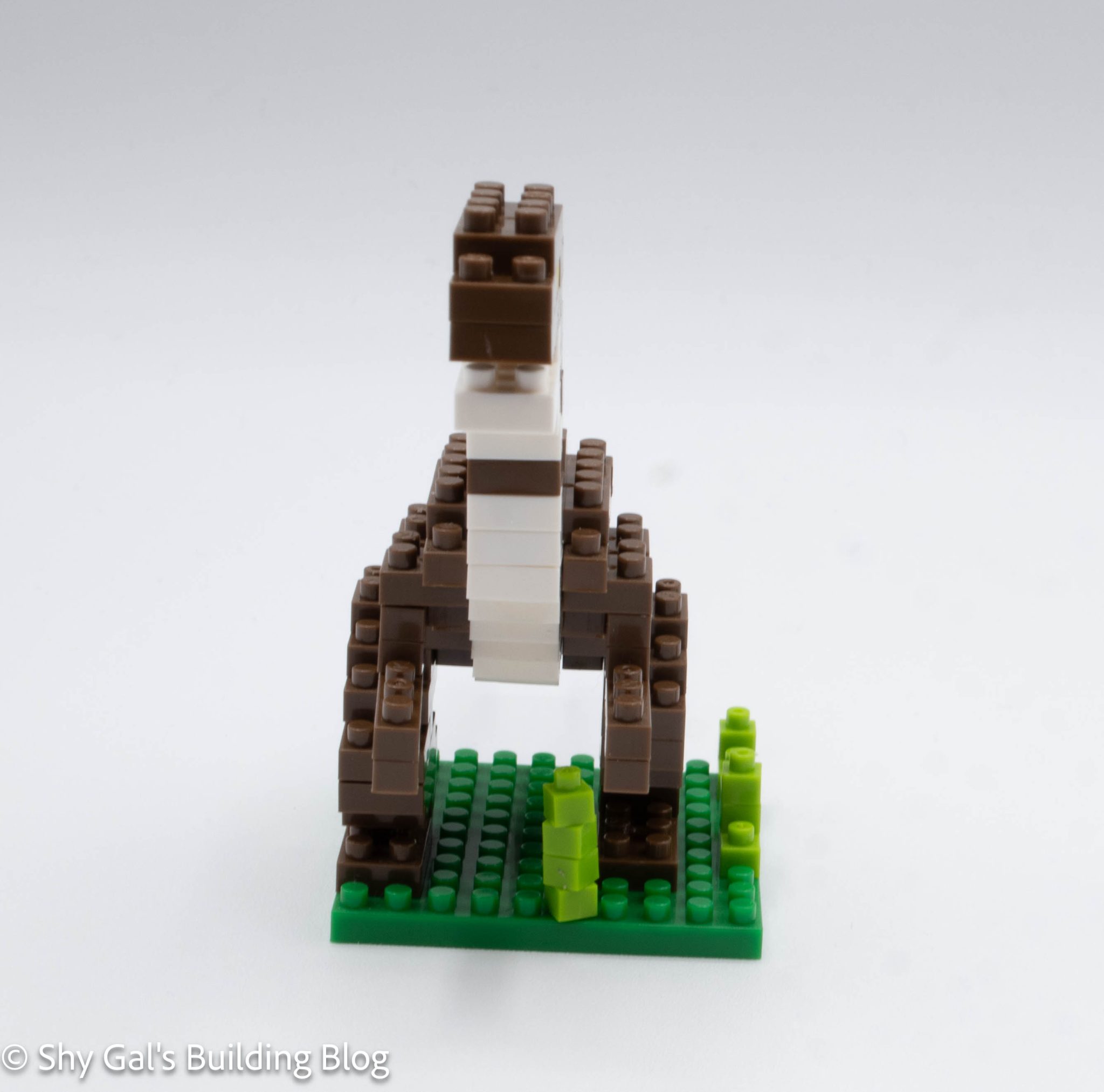 Review of nanoblock Velociraptor - Shy Gal's Building Blog