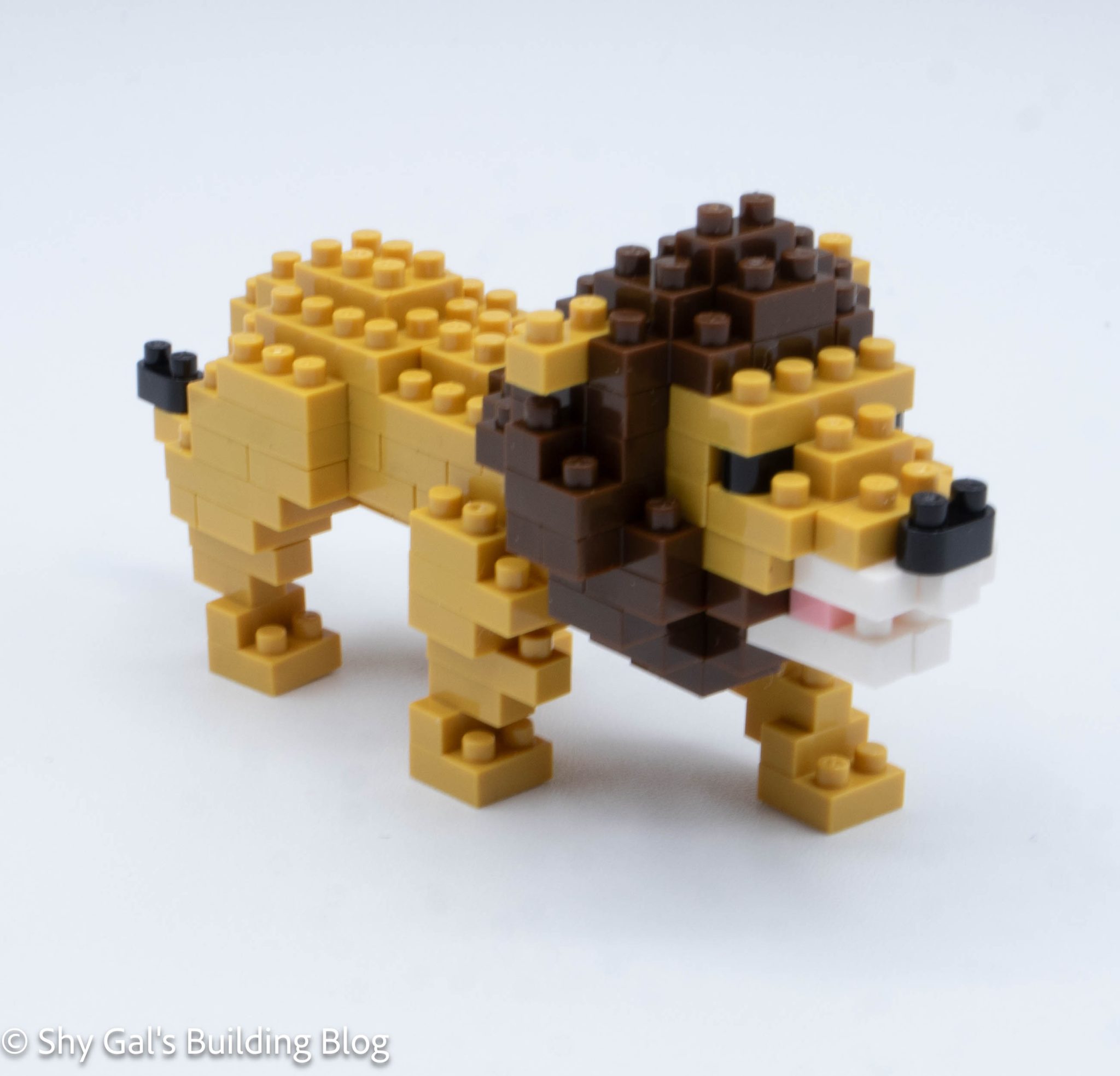 Review of nanoblock Lion NBC_170 - Shy Gal’s Building Blog